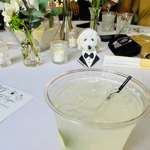 Custom Pet Stir Sticks, Double-sided Dog Wedding Stir Stick, Pet ...