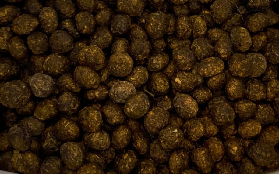 Rabbit Fertilizer Bunny Manure - 1 Lb - Etsy