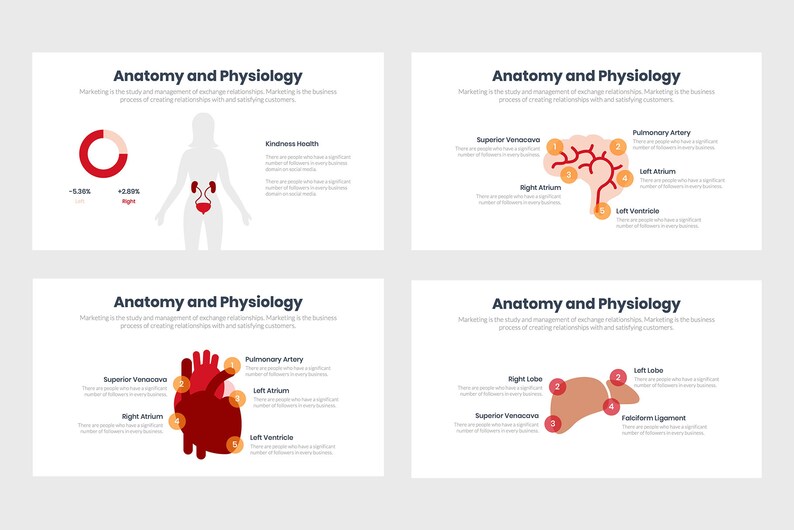 Anatomy and Physiology Infographics Powerpoint Template PPTX Keynote ...