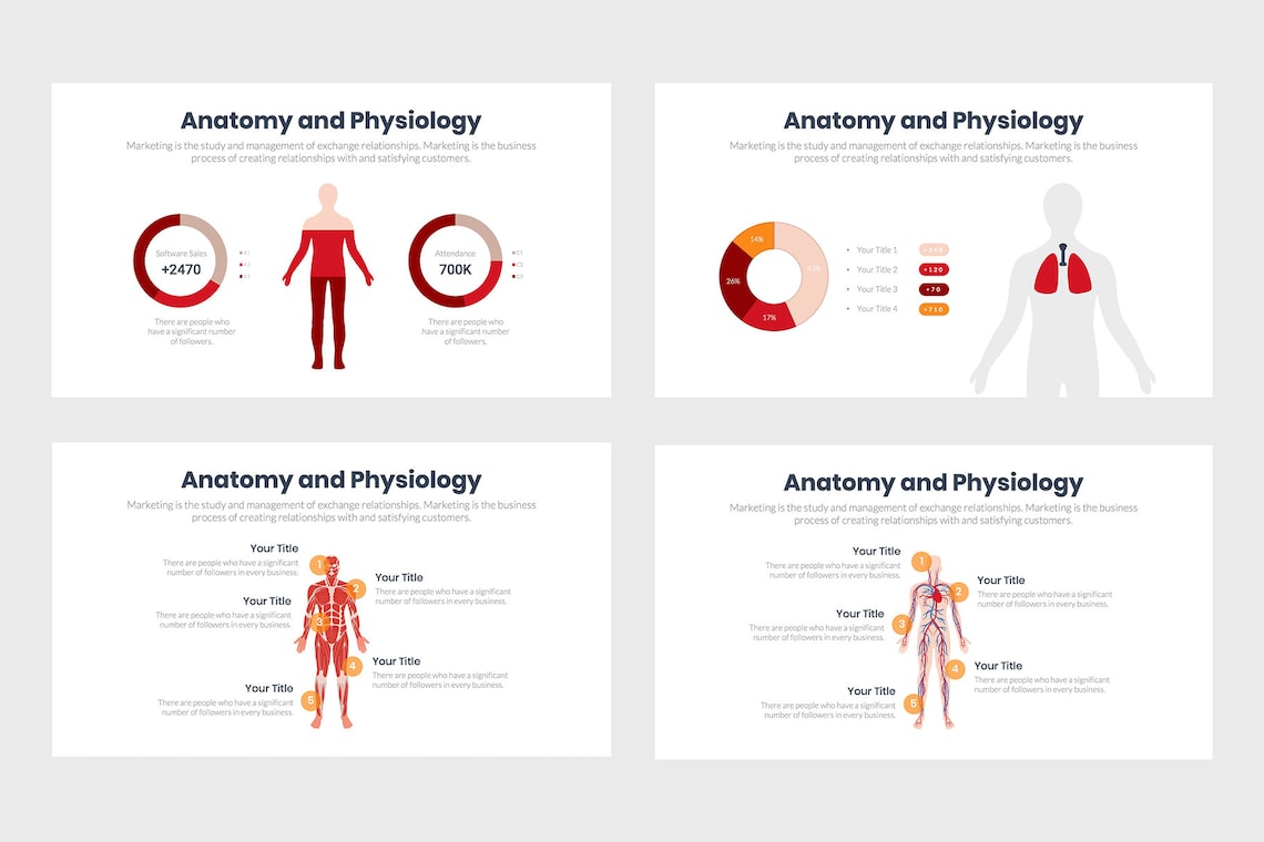Anatomy and Physiology Infographics Powerpoint Template PPTX Keynote ...