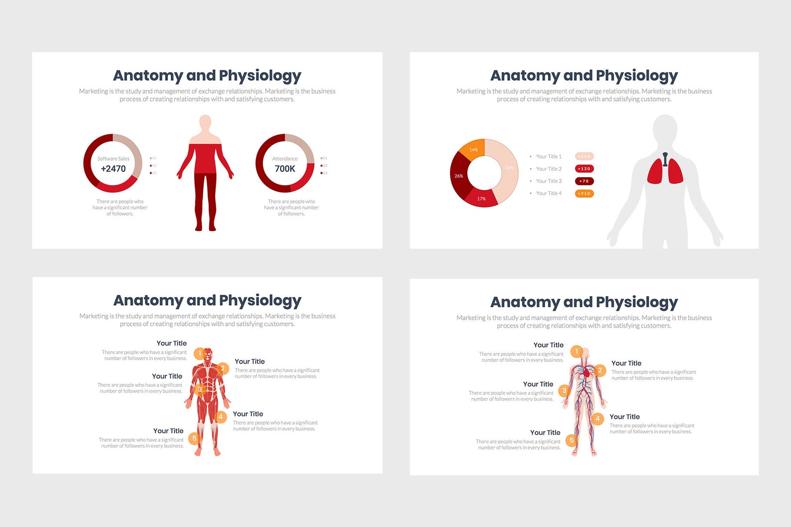 Anatomy and Physiology Infographics Powerpoint Template PPTX Keynote ...