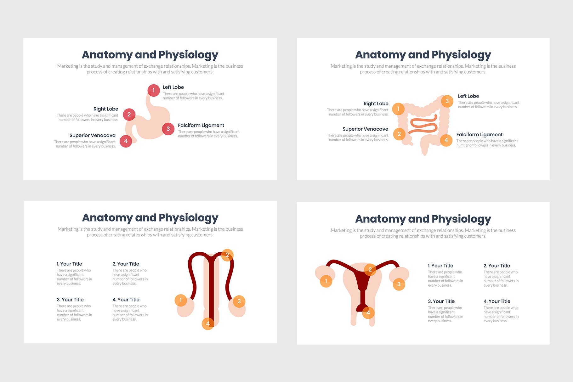 Anatomy and Physiology Infographics Powerpoint Template PPTX Keynote ...