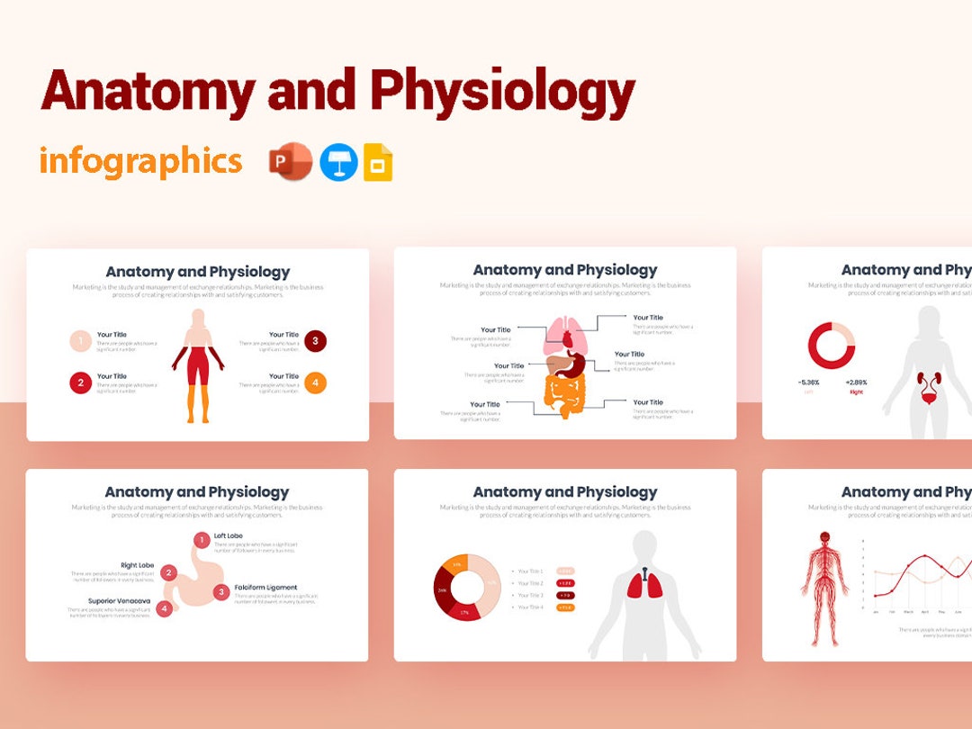 Anatomy and Physiology Infographics Powerpoint Template PPTX Keynote Template Google Slides - Etsy