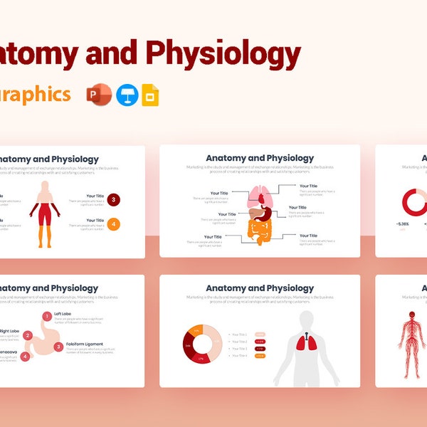 Anatomy Infographic Template - Etsy