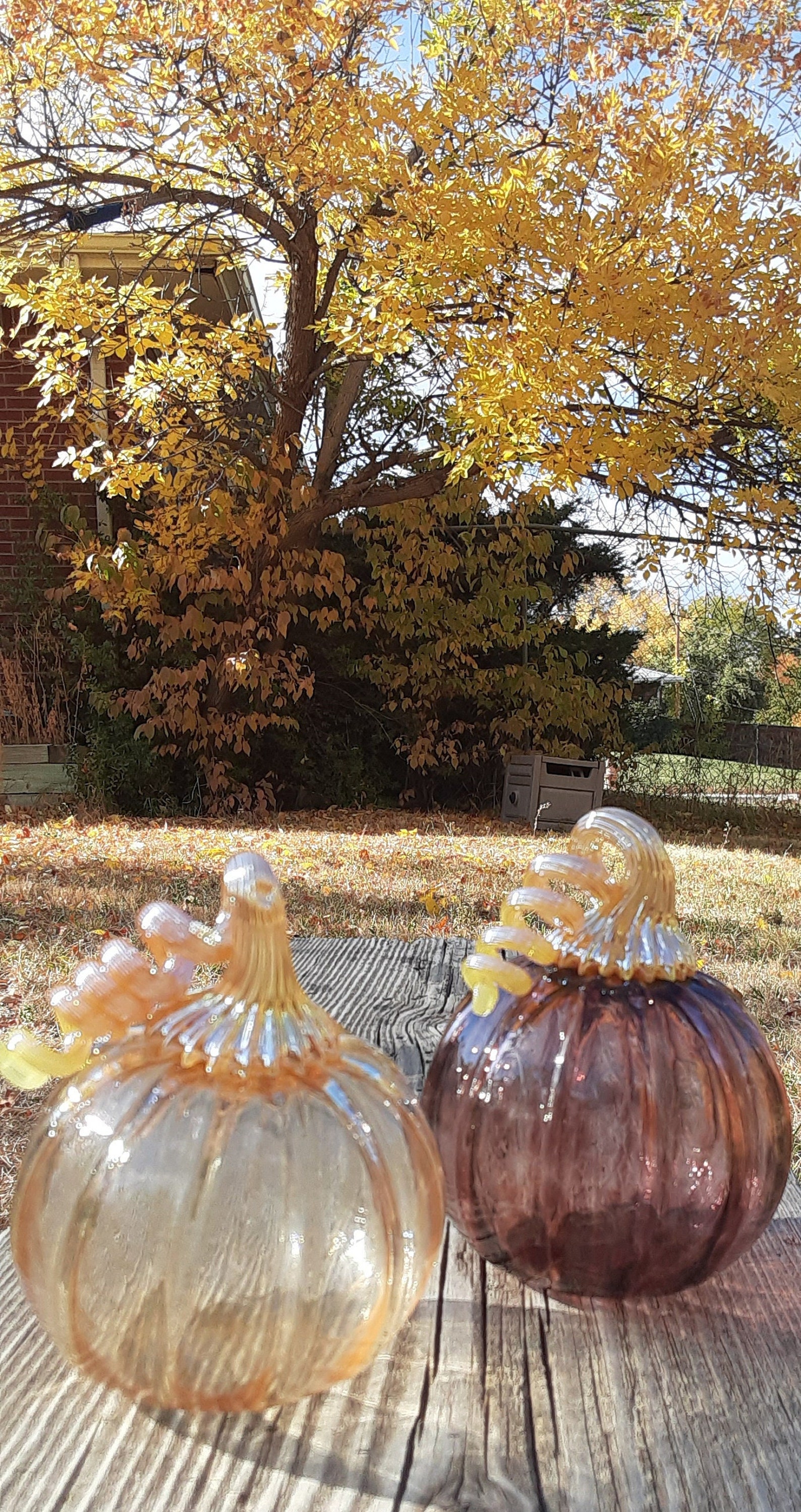 NEW Hand Blown Pumpkin. Fall Decor. Glass Pumpkin. | Etsy