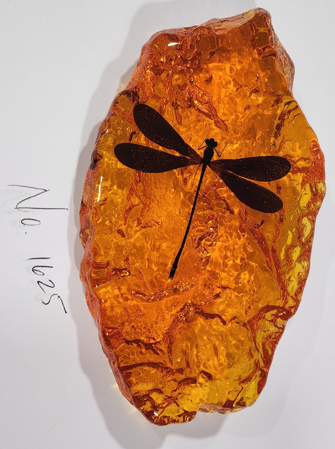 Dragonfly in Amber Resin Size Large Rock for OUTLANDER by Diana ...