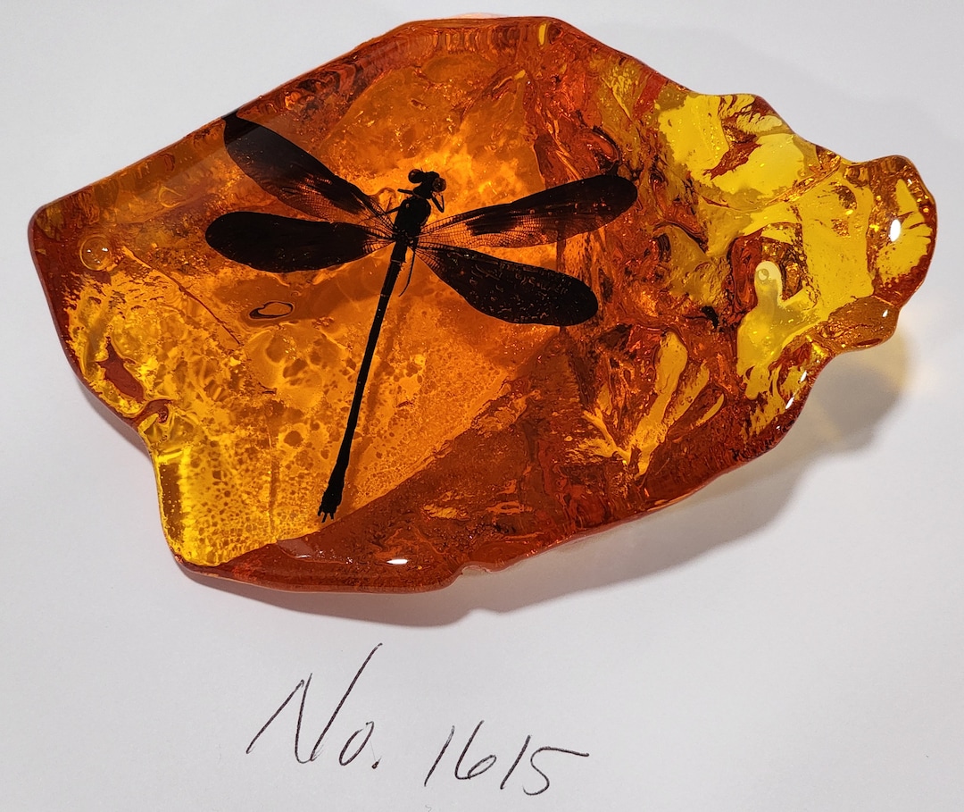 Dragonfly in Amber Resin Size Large Rock for OUTLANDER by - Etsy
