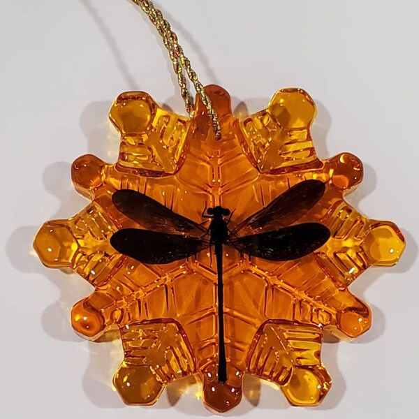 Dragonfly in Amber - Etsy