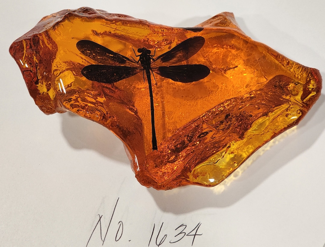 Dragonfly in Amber Resin Size Large Rock for OUTLANDER by Diana ...