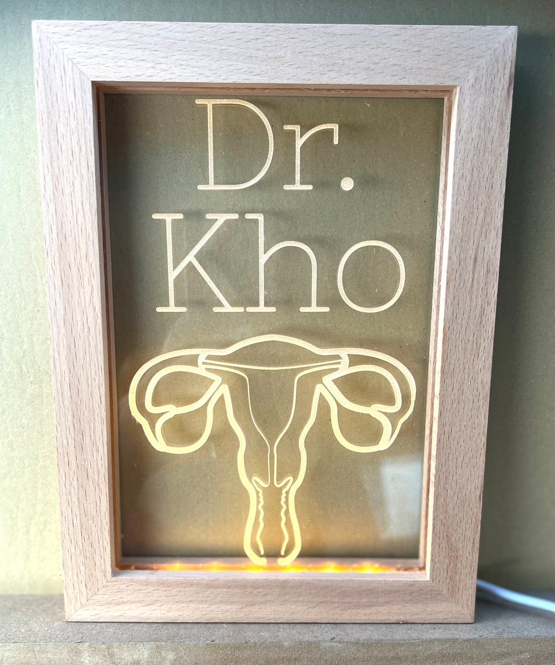 OBGYN Gift Midwife Gift LED Acrylic Frame Female Anatomy Cervix Gift ...