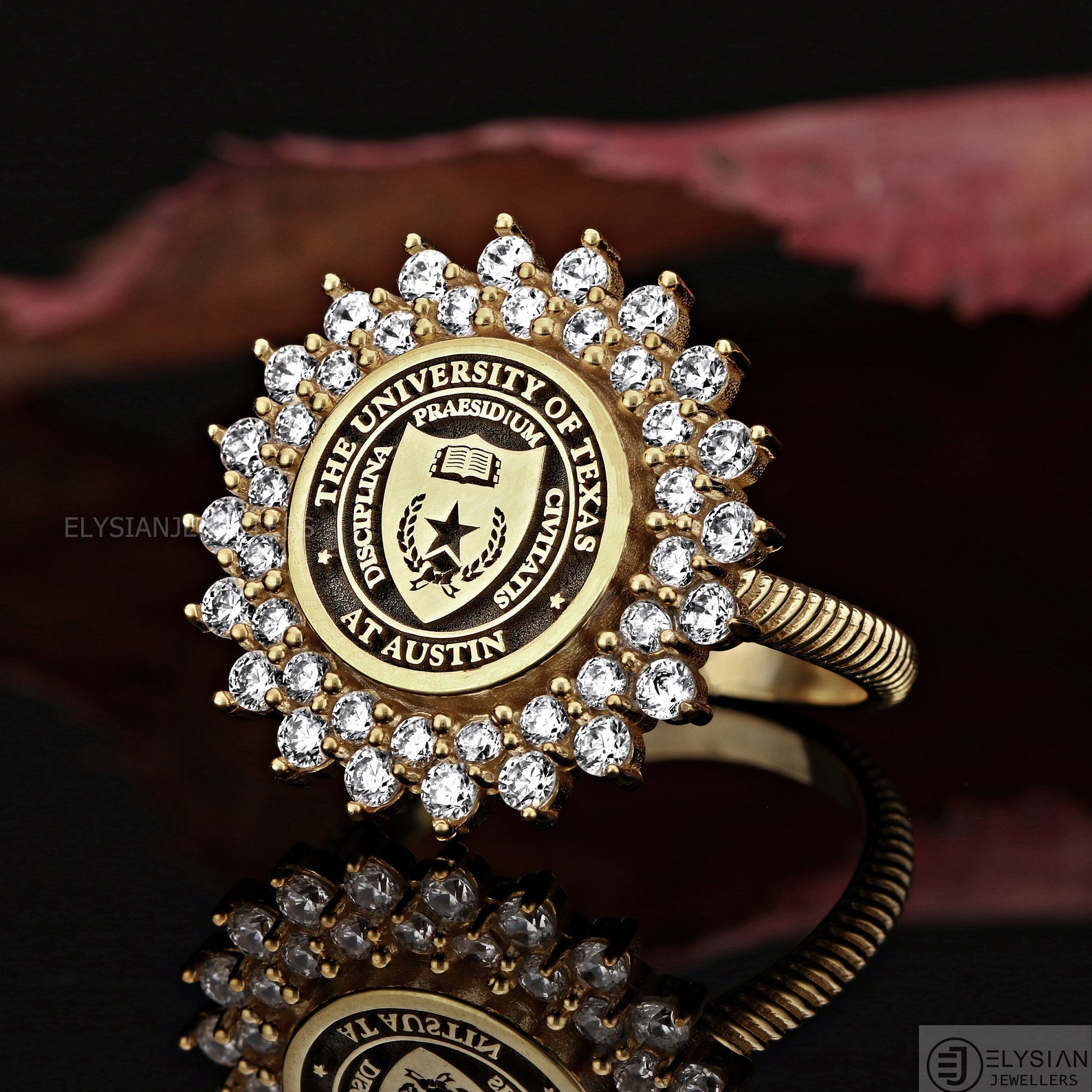 University Ring, Graduation Gift, Class Rings, Senior Class Ring ...