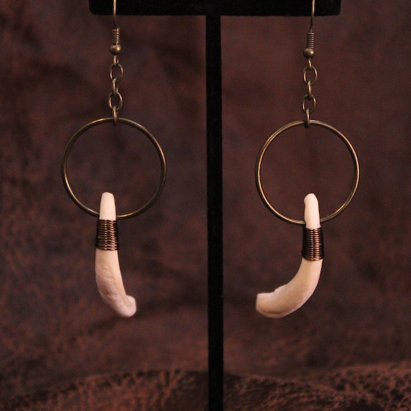 Wild Boar Teeth - Etsy