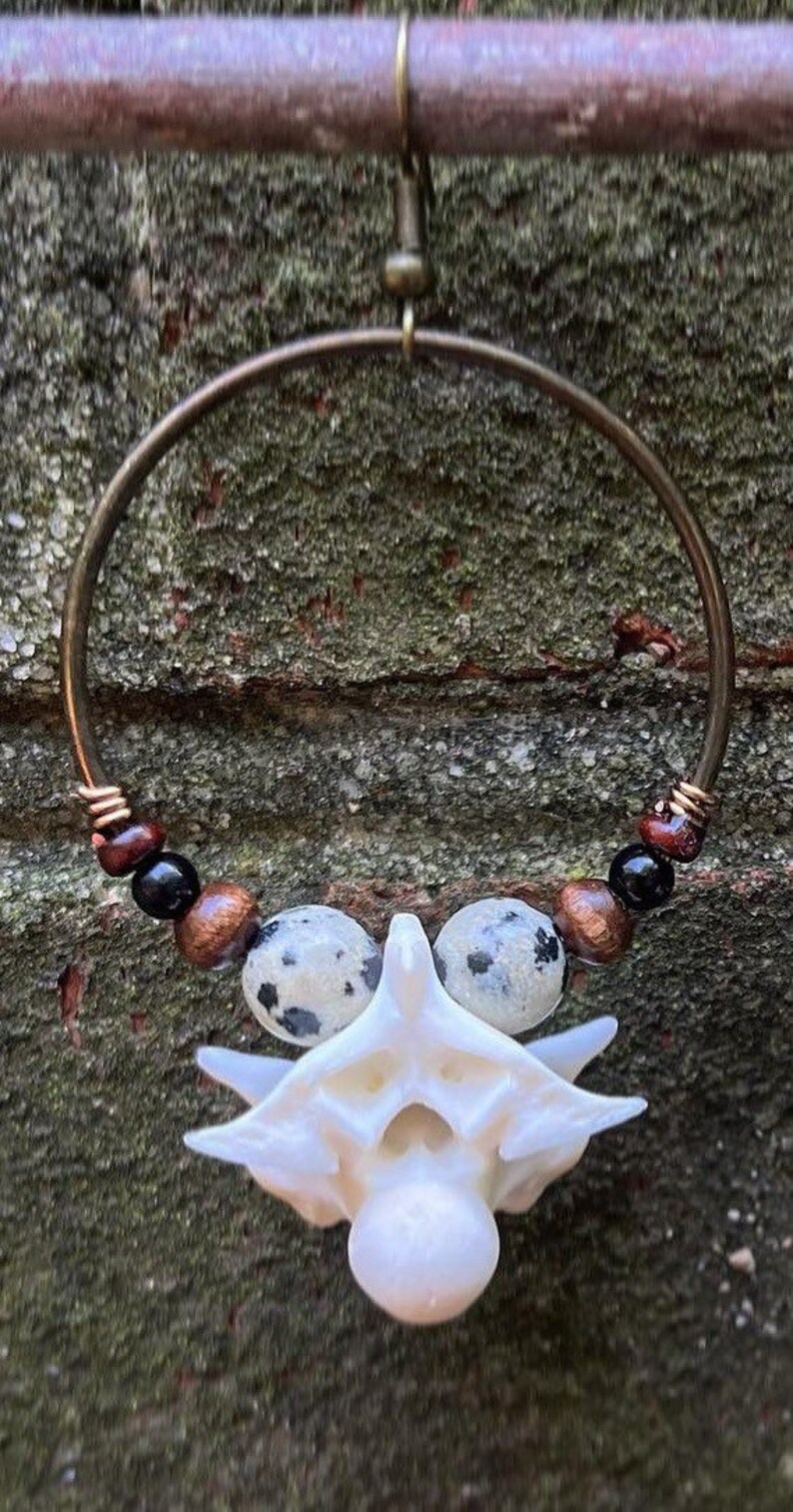 Invasive Burmese Python Vertebrae Hoop Earrings With Dalmatian - Etsy
