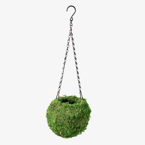 Fresh Green Kokedama Moss Hanging Planter Ball - Etsy