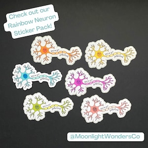 Neuroscience Sticker Pack | Psychology | Waterproof Water Resistant ...