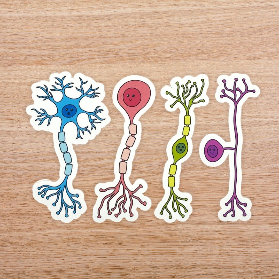 Structural Neurons Sticker Pack | Psychology | Waterproof Decal ...