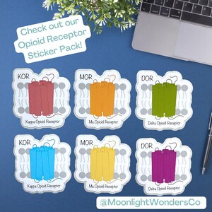Structural Neurons Sticker Pack | Psychology | Waterproof Decal ...