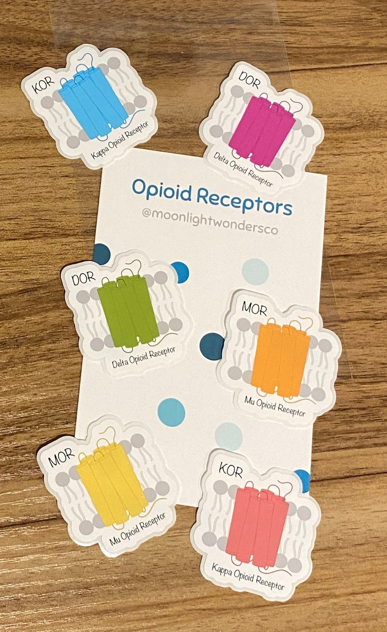 Opioid Receptor Vinyl Sticker Pack (neuroscience, Psychology, Med ...