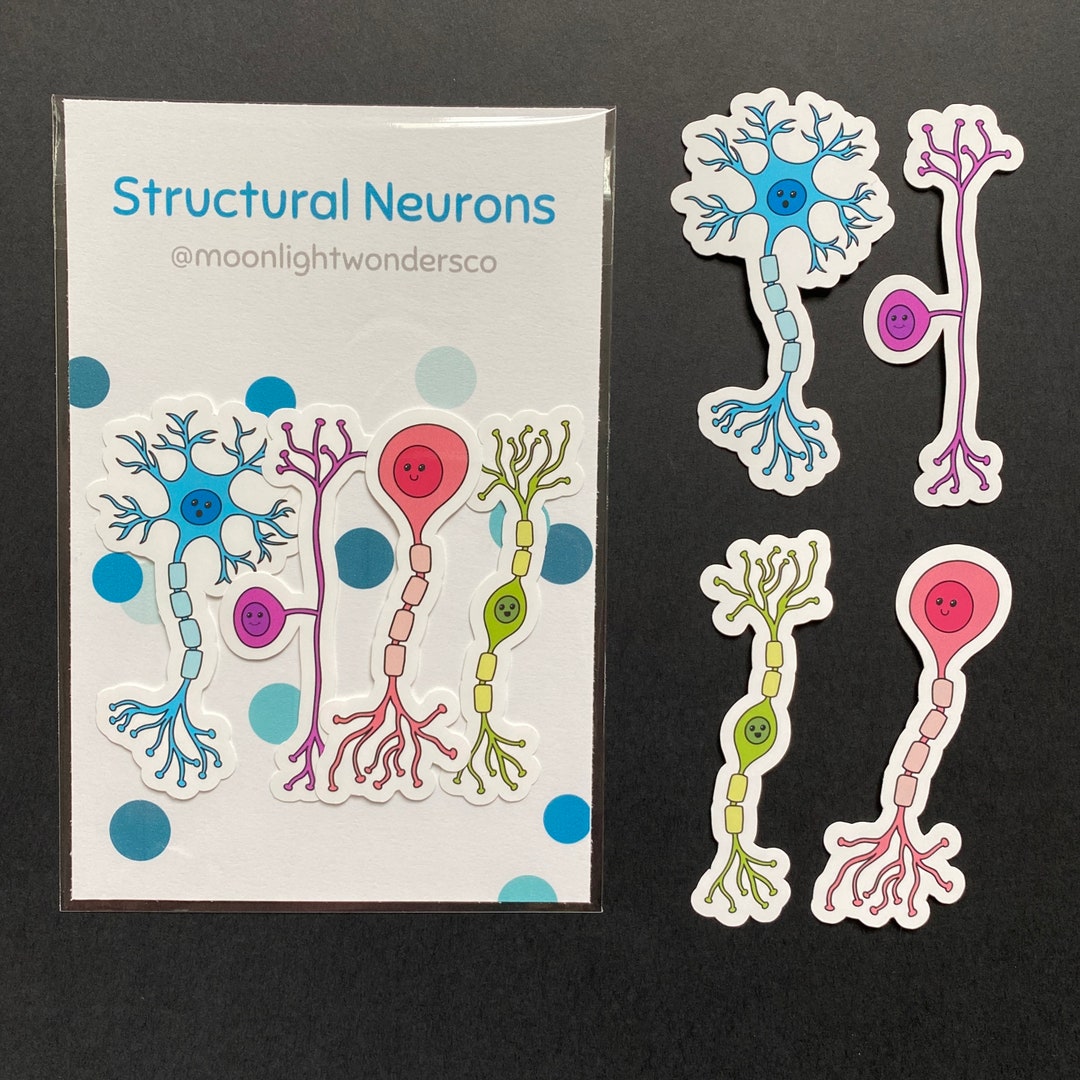 Structural Neurons Sticker Pack Psychology Waterproof - Etsy