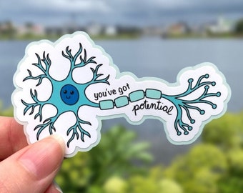 Cranial Nerves Vinyl Sticker for Laptop Gift for Neuro Nurses - Etsy