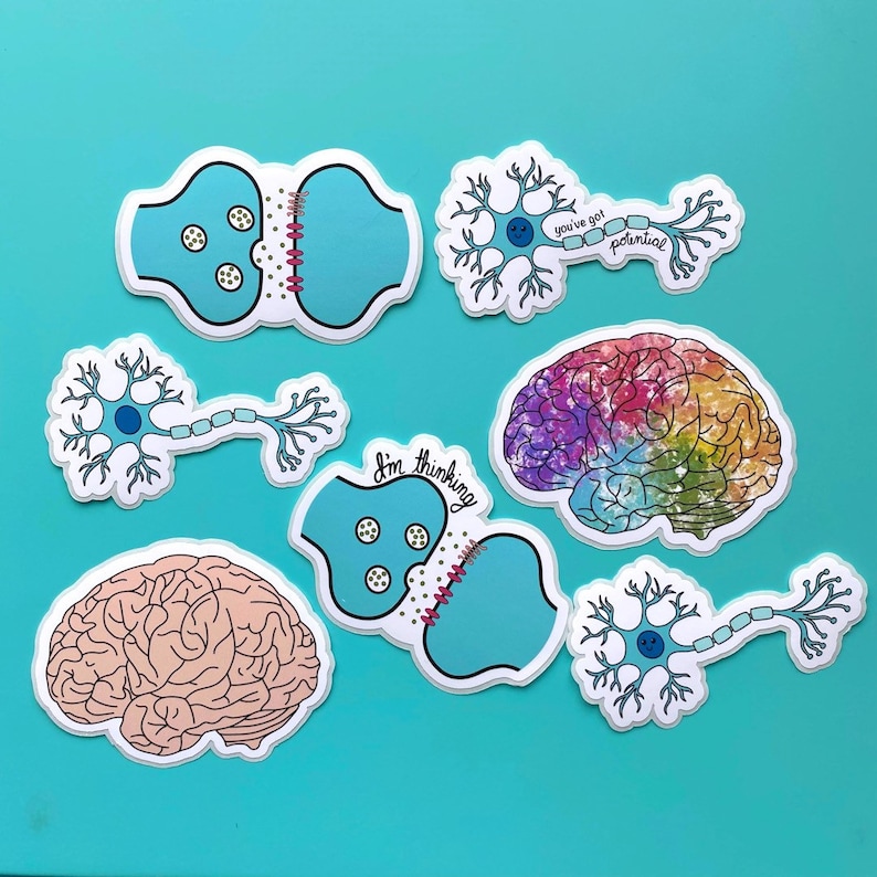 Neuroscience Sticker Pack Psychology Waterproof Water - Etsy