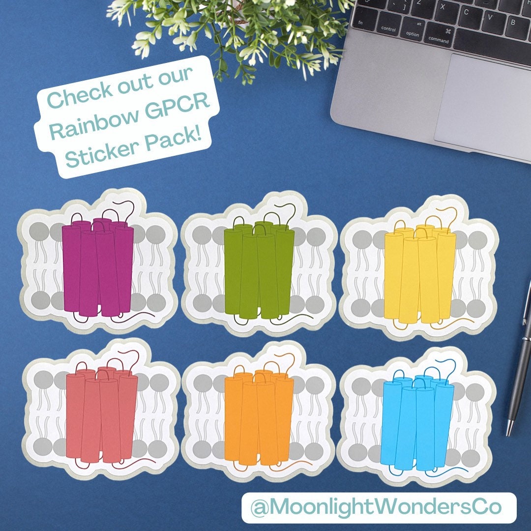 Rainbow Neuron Sticker Pack Psychology Water Resistant - Etsy