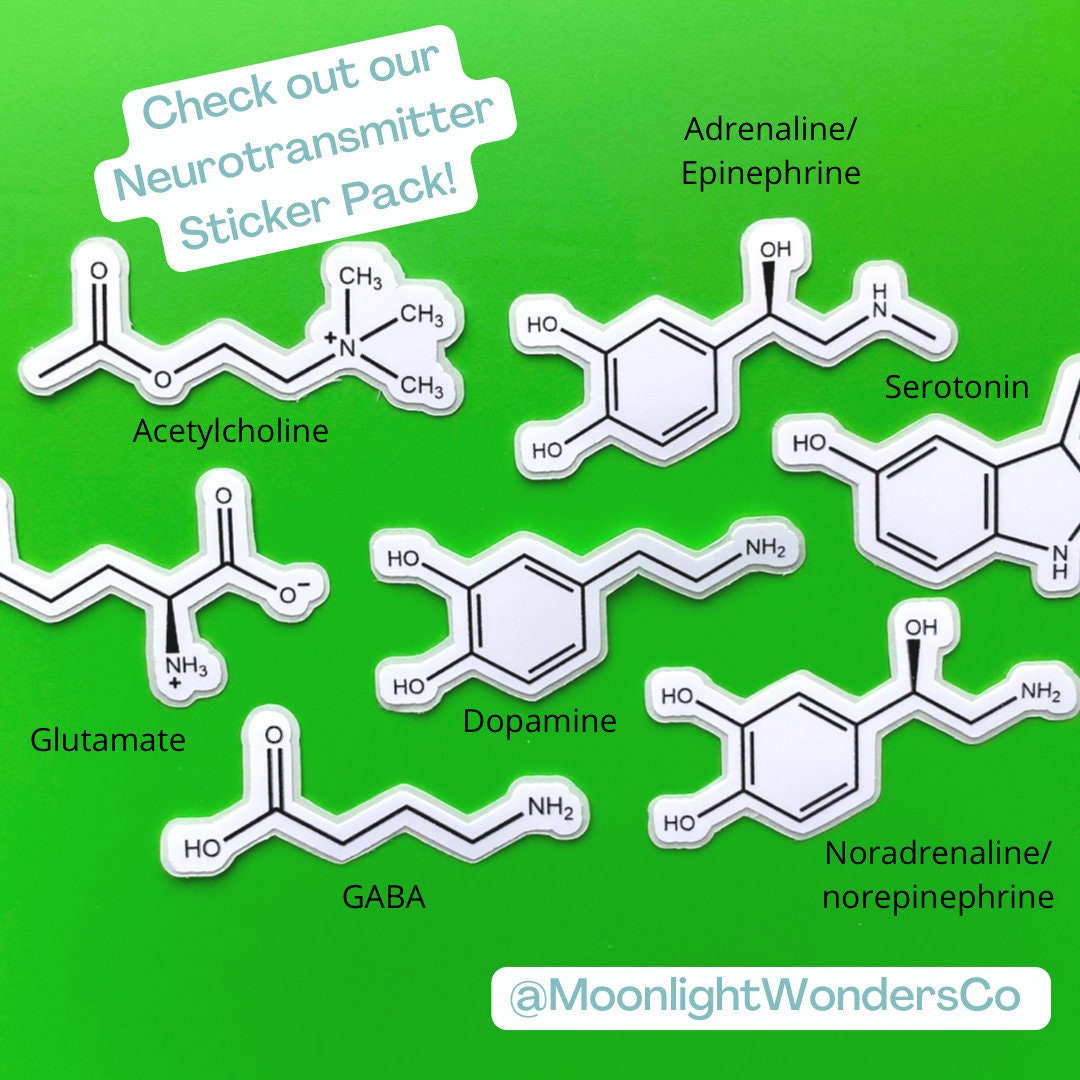 Neurotransmitter Sticker Pack Psychology Waterproof Decal Gaba ...