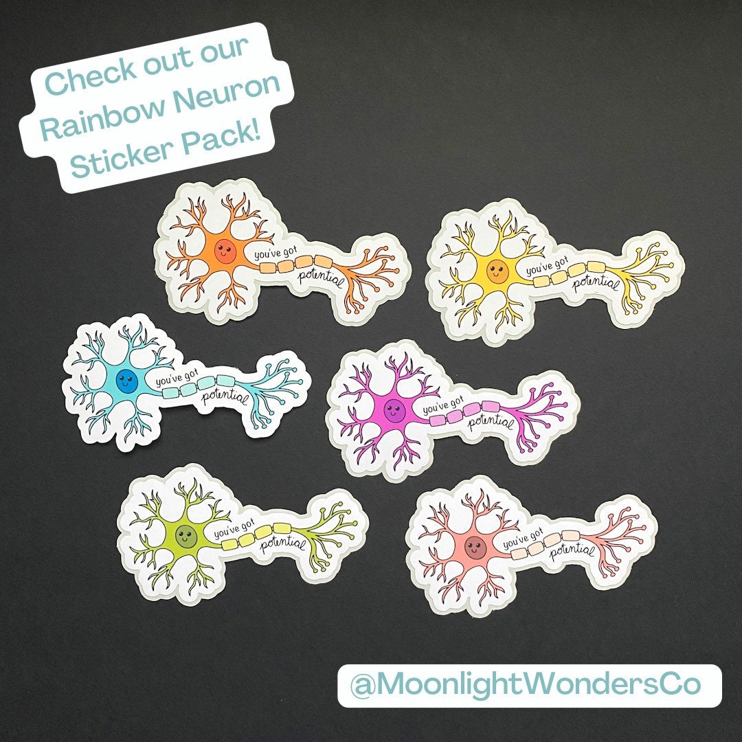 Rainbow Neuron Sticker Pack (psychology, Brain Anatomy) - Etsy