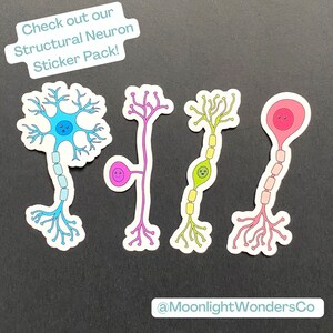Neuroscience Sticker Pack | Psychology | Waterproof Water Resistant ...