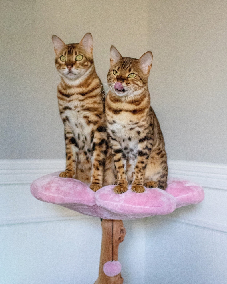 Modern Floral Cat Tree Wooden Cat Tower Modern Cat House Etsy