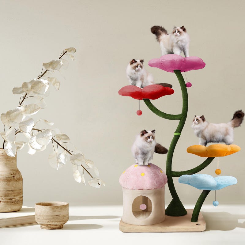 Luxury Cat Tree Plant - Etsy