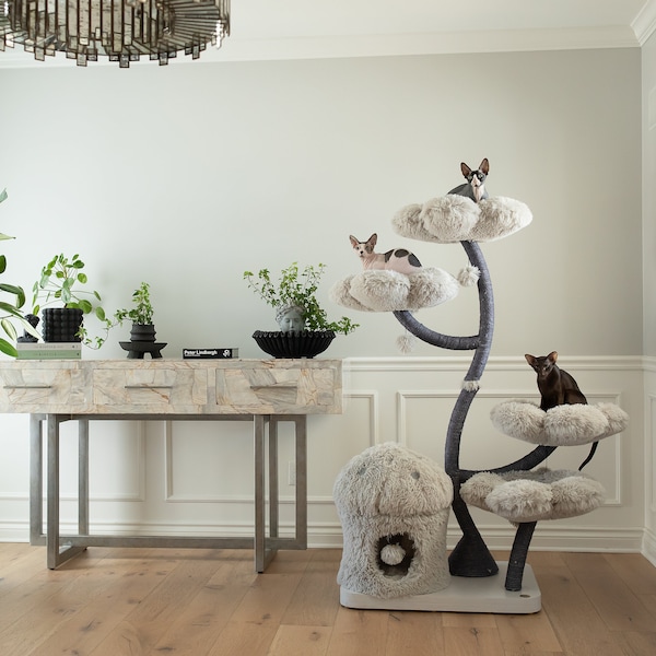 Cat - Etsy