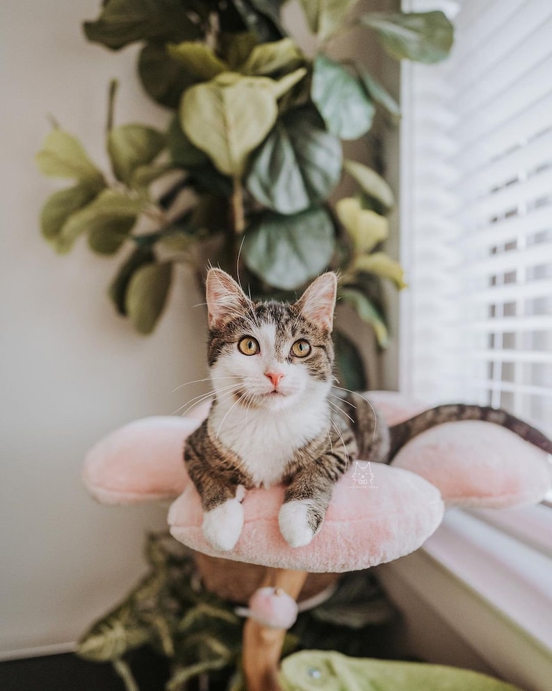Modern Floral Cat Tree Wooden Cat Tower Modern Cat House Etsy