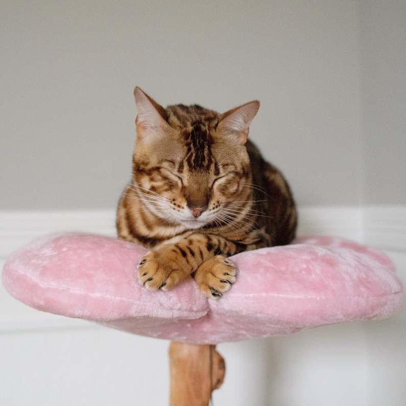 Modern Floral Cat Tree Wooden Cat Tower Modern Cat House Etsy