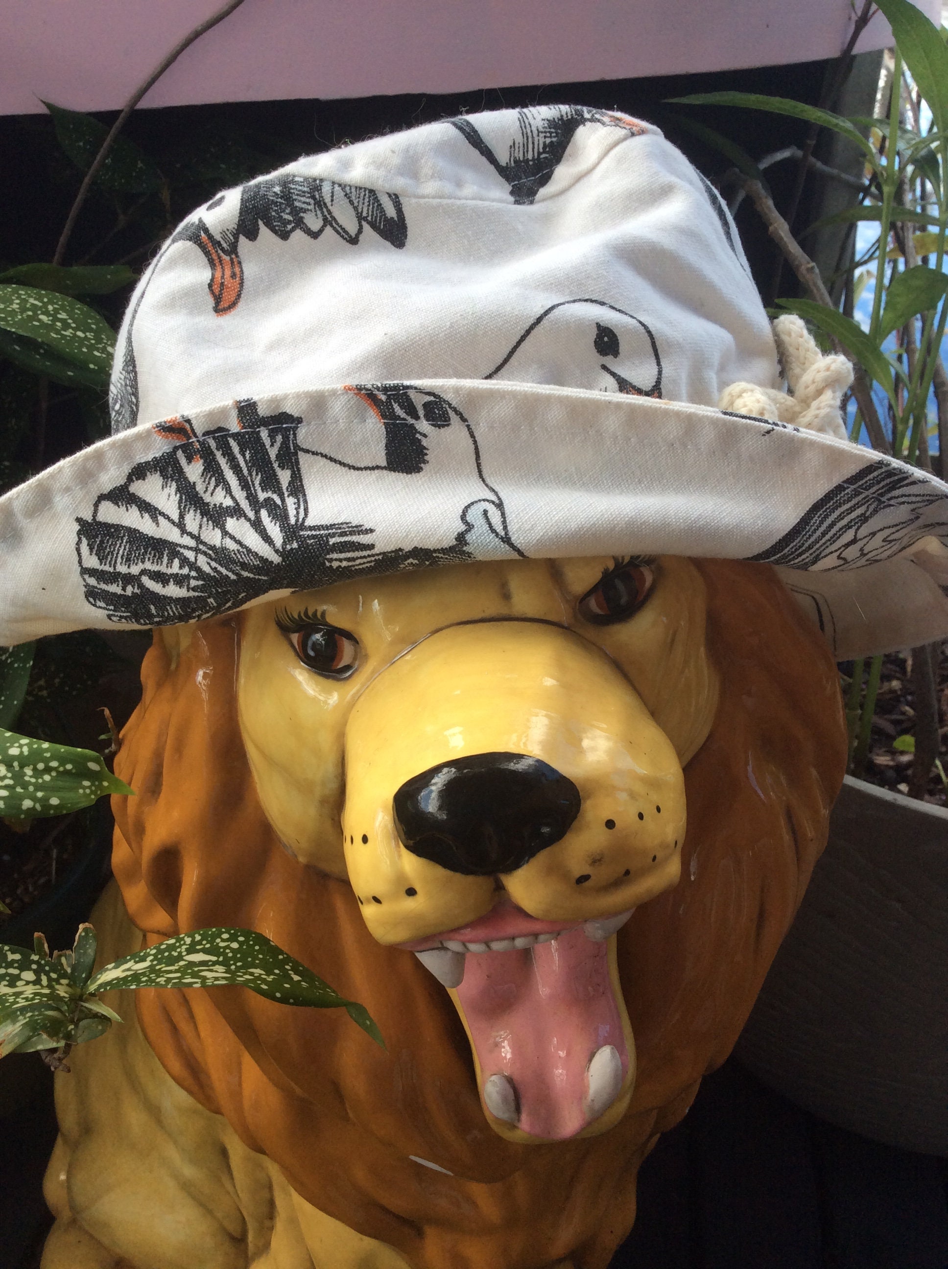 Seagull Bucket Hat - Etsy