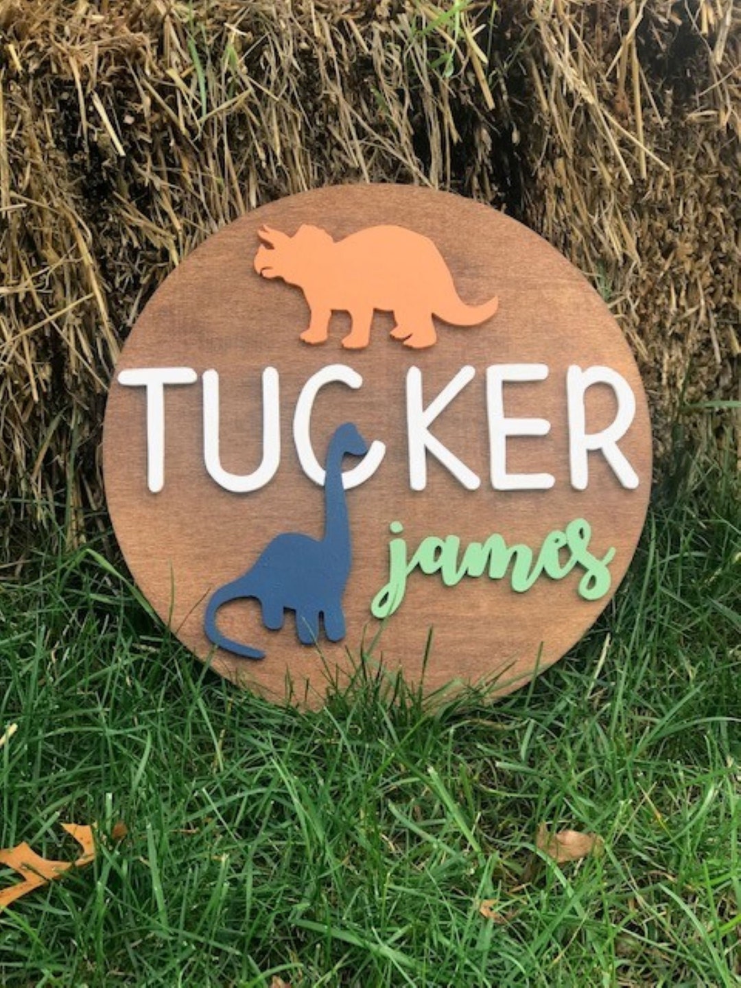 Kid's Dinosaur Name Sign - Etsy