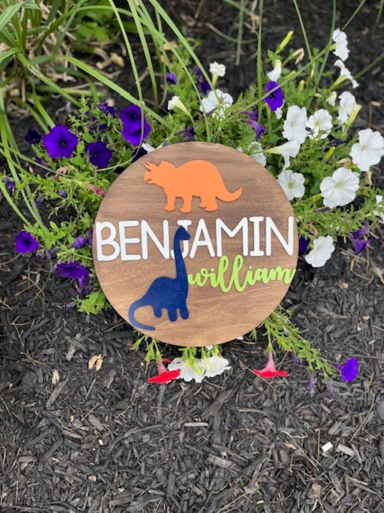 Kid's Dinosaur Name Sign - Etsy