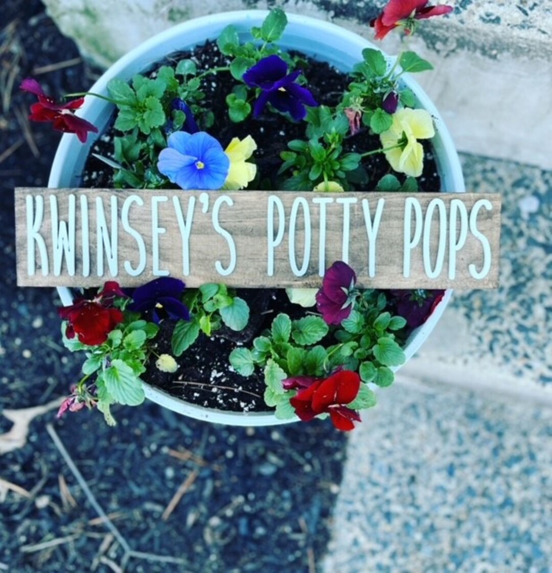 Potty Pop Holder - Etsy