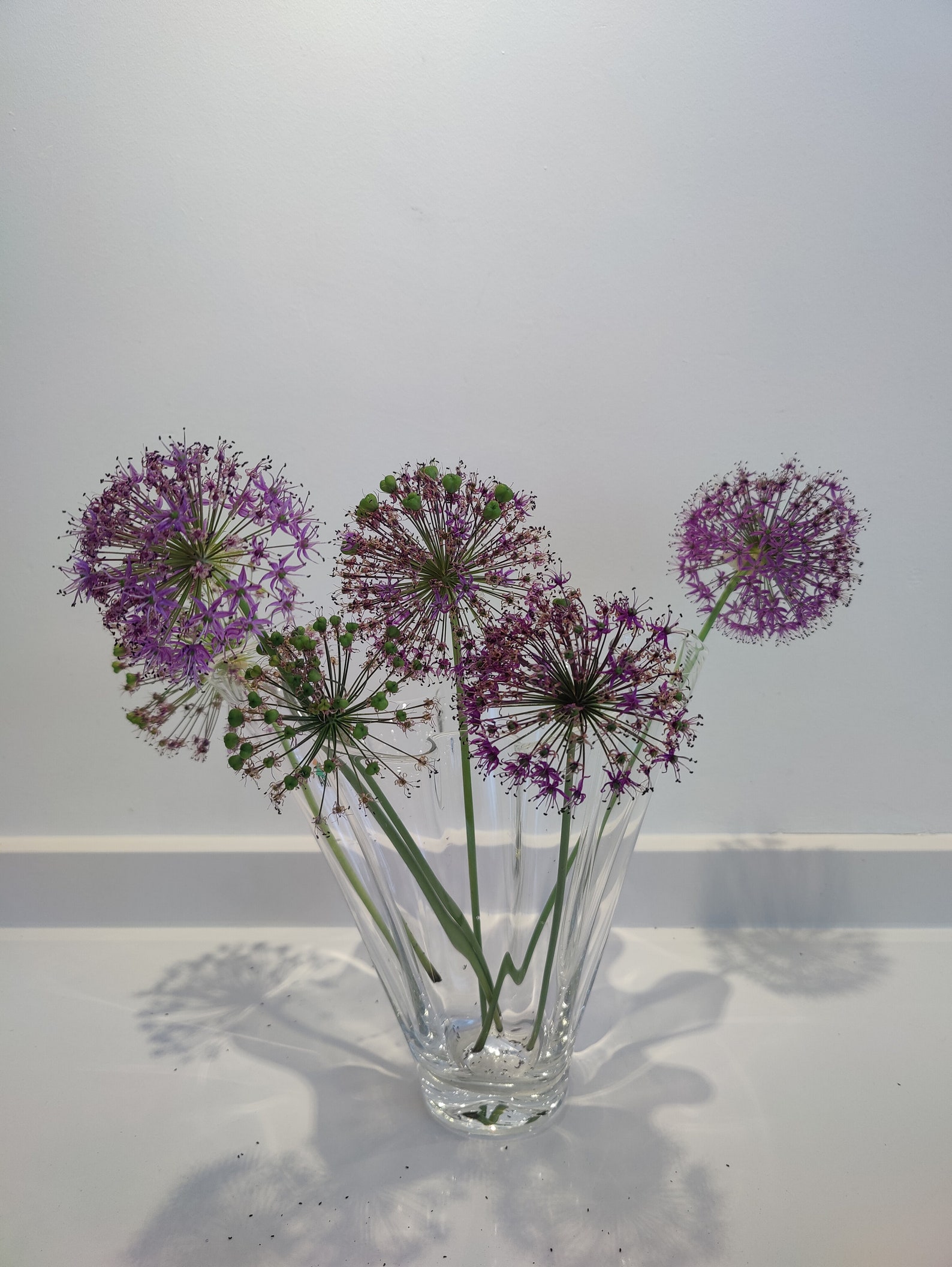 Dutch Design Glass Vase Exclusive - Folded Glass, Sculpted Glass Fan ...
