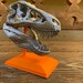 3D Printed T-rex Skull With Display Stand - Etsy