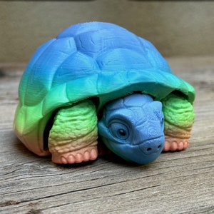 3D Printed Articulated Tortoise With Retractable Head and Limbs W ...