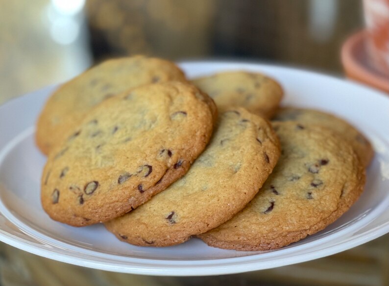 Chocolate & White Chip Delight Large 34 - Etsy