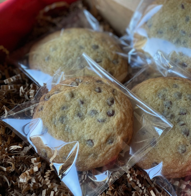 Chocolate & White Chip Delight Large 34 - Etsy