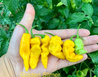 HotPepperSeedsShop - Etsy