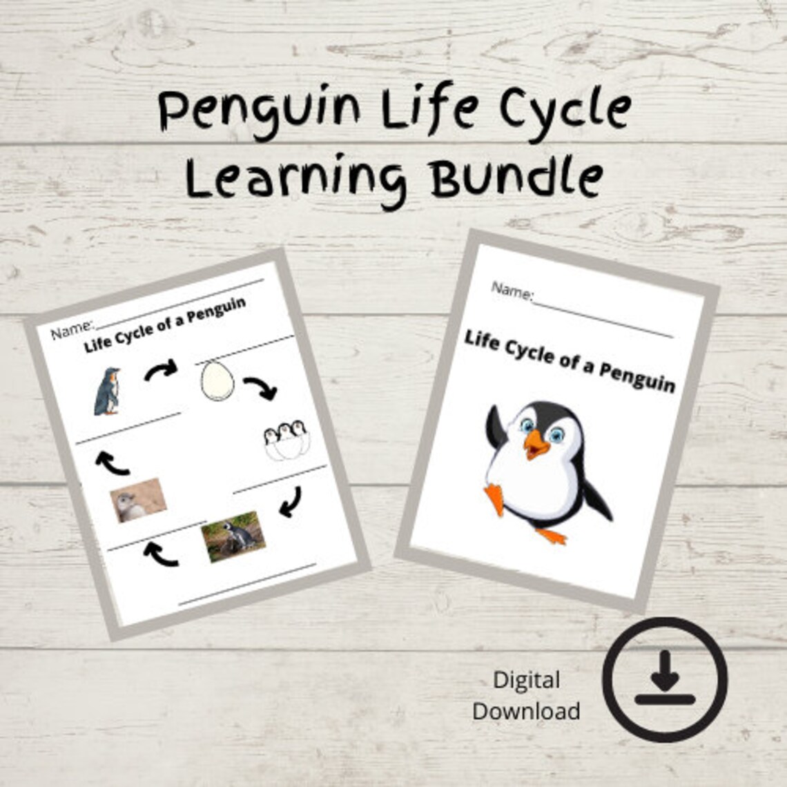 Life Cycle of a Penguin Bundle | Kindergarten | First Grade | Special ...