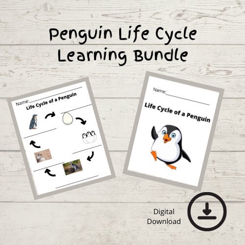 Life Cycle of a Penguin Bundle | Kindergarten | First Grade | Special ...