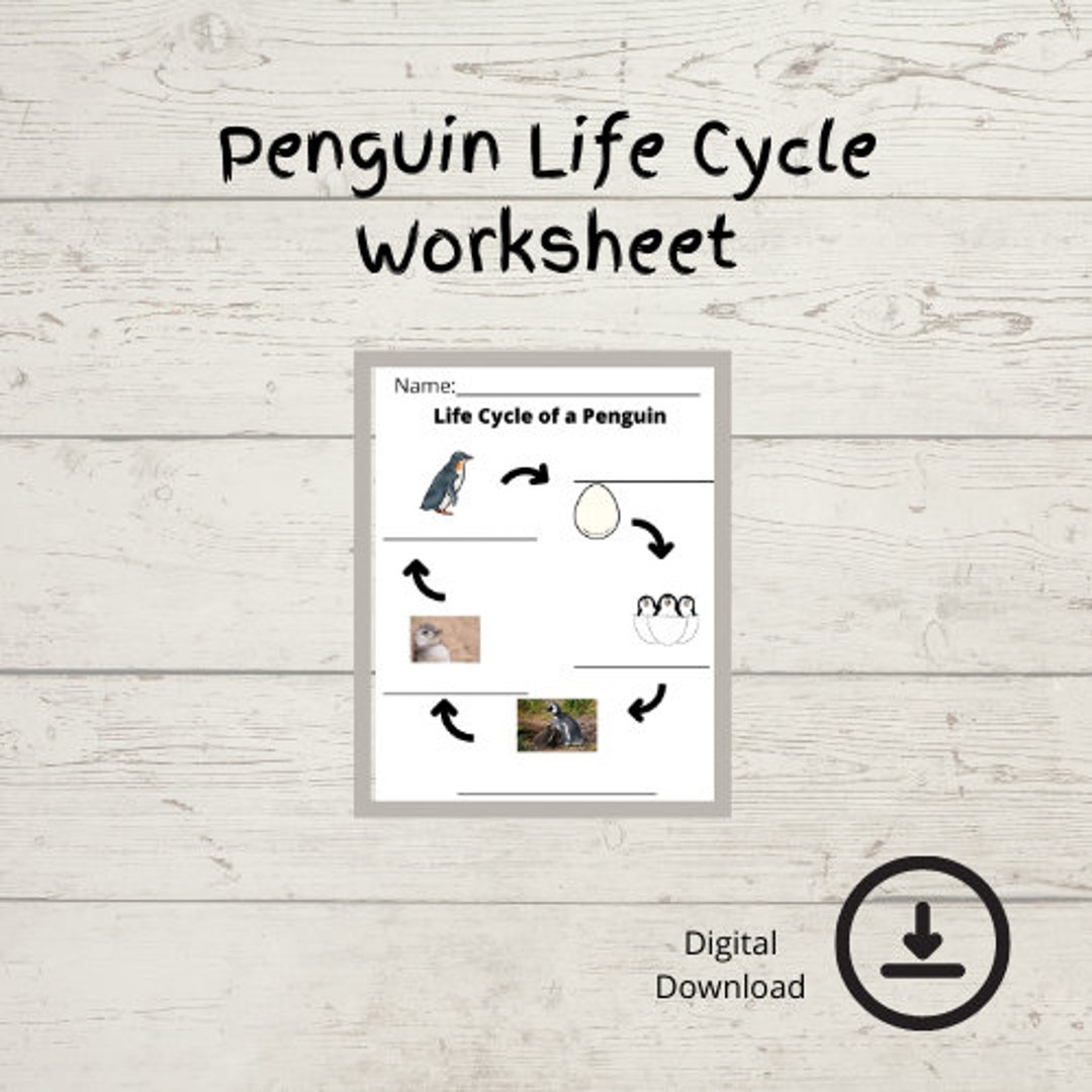 Life Cycle of a Penguin Worksheet | Digital Download | Kindergarten ...