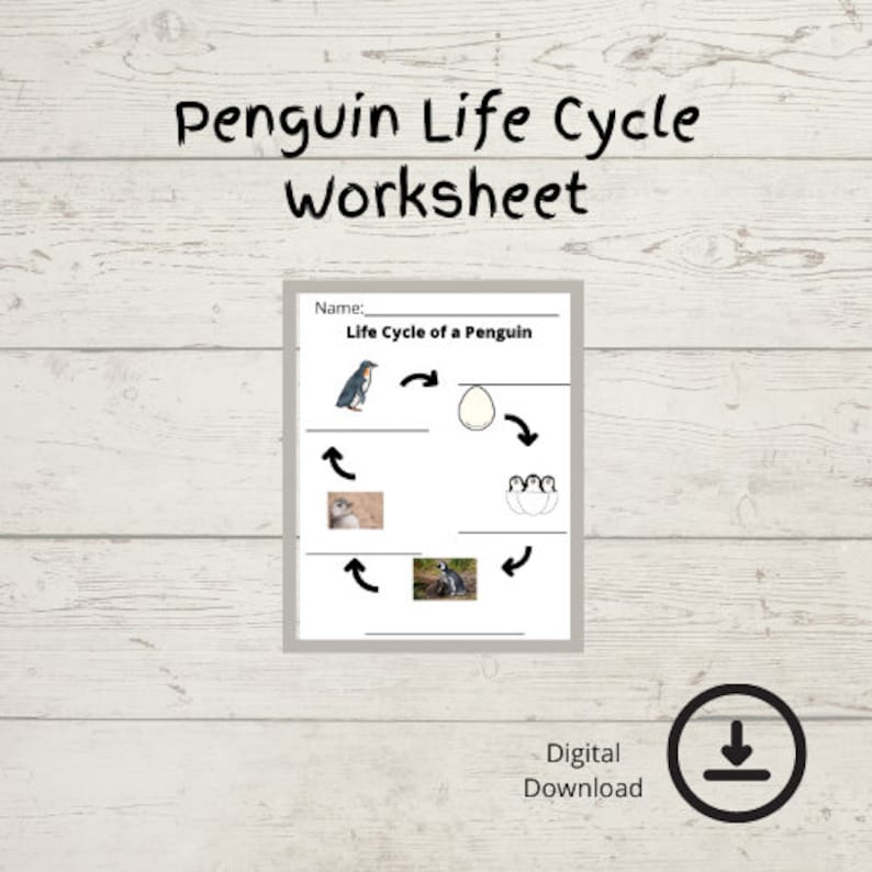 Life Cycle of a Penguin Worksheet | Digital Download | Kindergarten ...