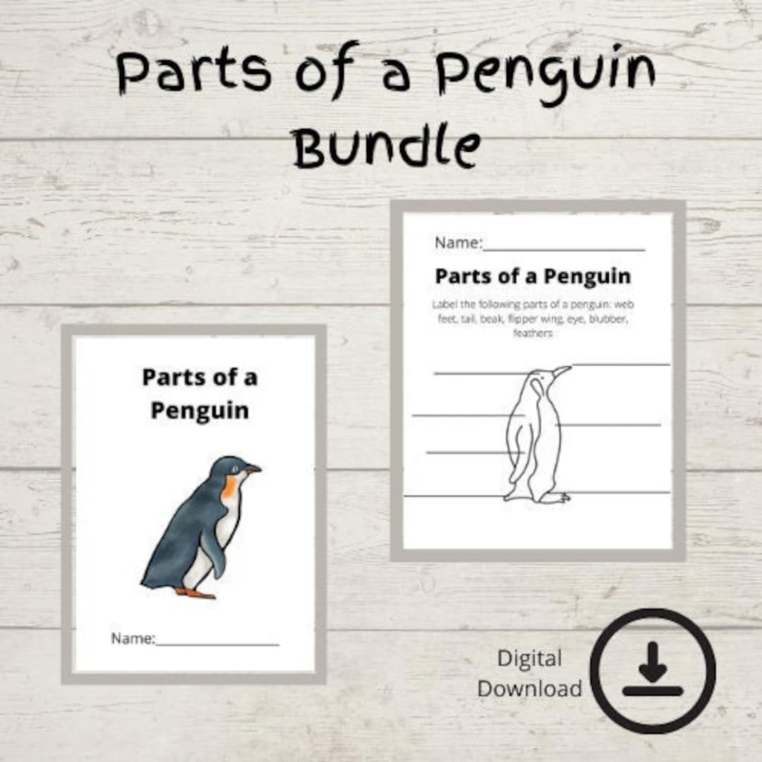 Parts of a Penguin Bundle | Digital Download | Kindergarten | First ...