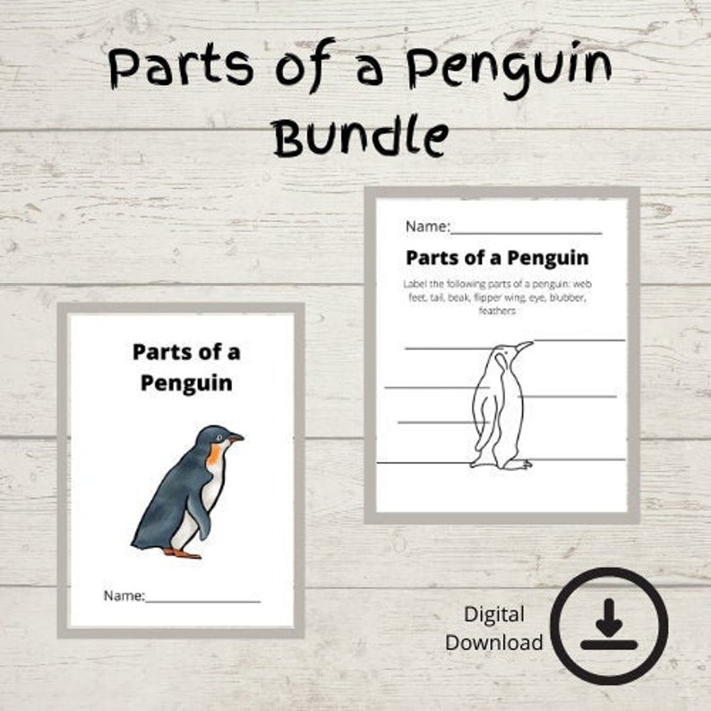 Parts of a Penguin Bundle | Digital Download | Kindergarten | First ...